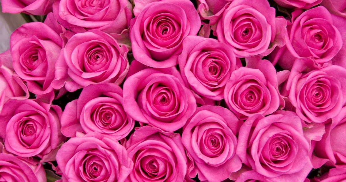 Purposefully Pink, Southern Oregon Rosé: Made With Intention ~ The ...