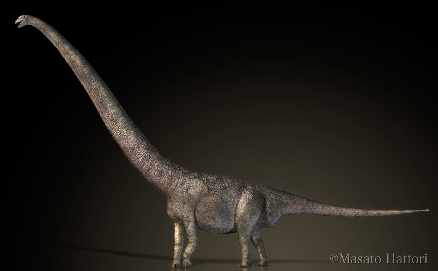 Marchan Blog: マメンチサウルス Mamenchisaurus