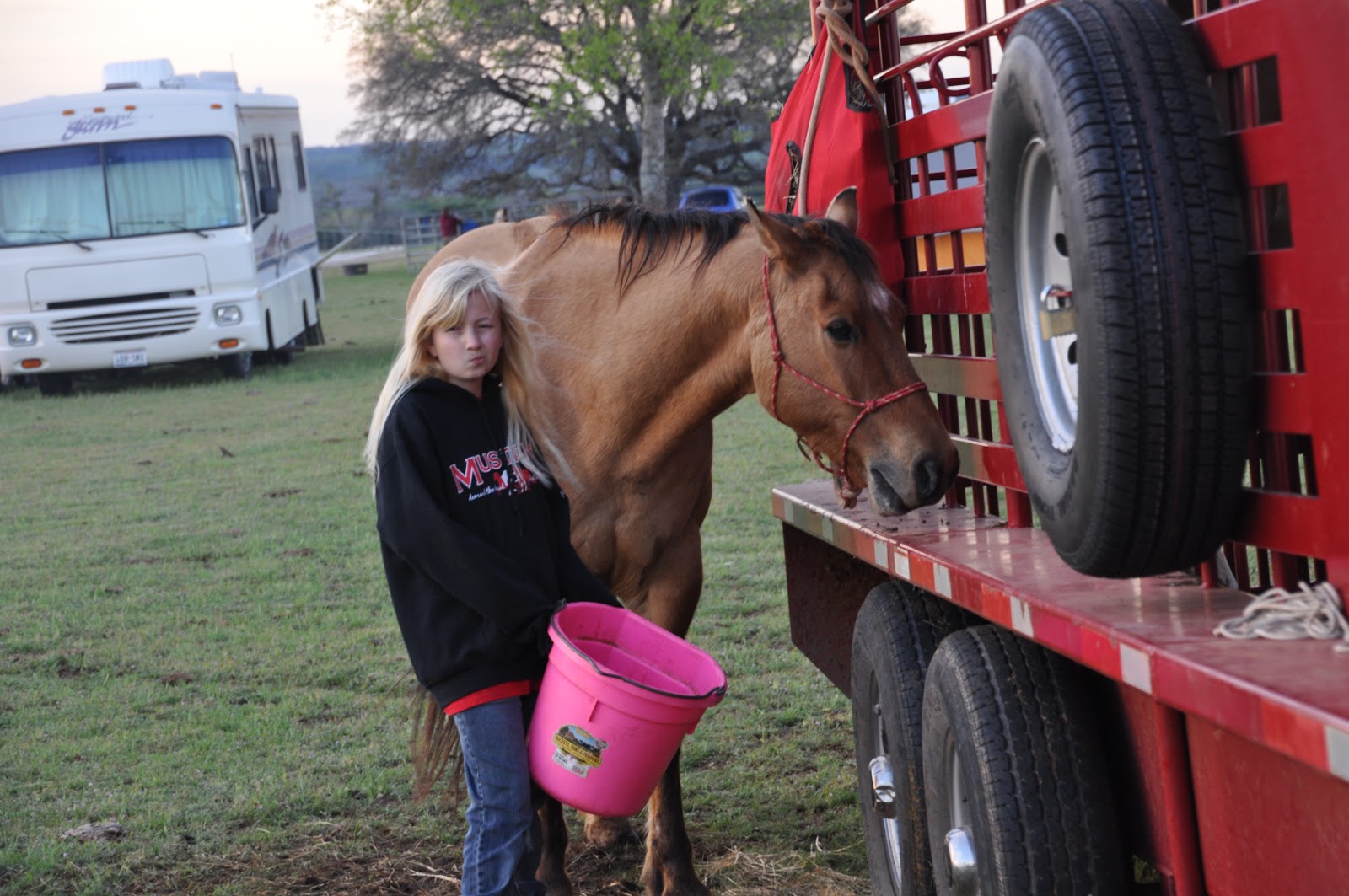 Michelle Deden Mustang Makeover: HD Ranch Benefit Trail Ride for HSNT