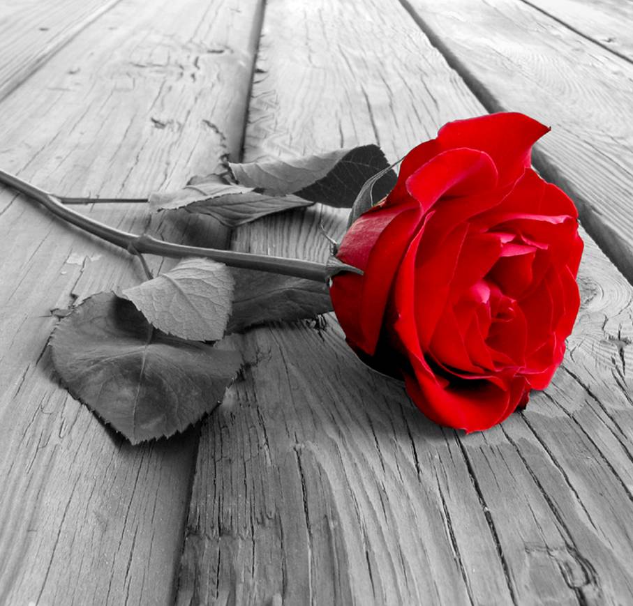 TRIBEWORK: Prayer for Hurting Humanity Everywhere