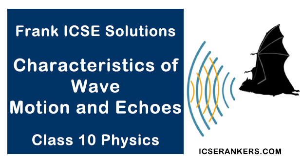 Frank Chapter 3.1 Characteristics of Wave Motion and Echoes ICSE ...