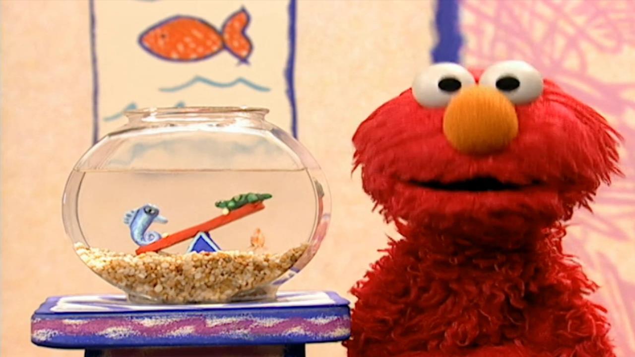 Watch Elmo's World Opposites