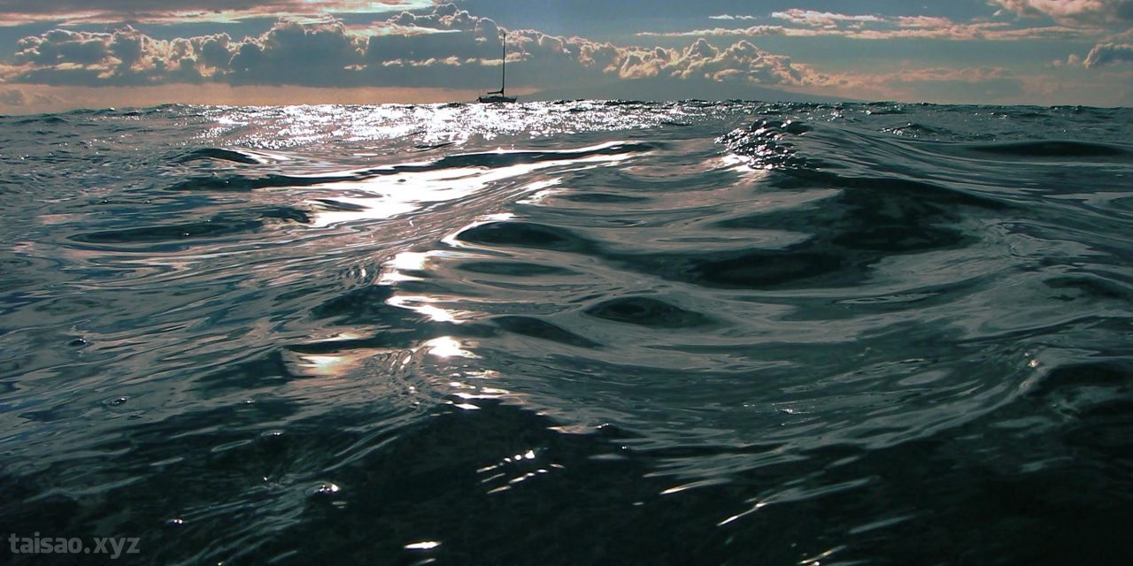 8 sự thật về biển Đen là gì và biển Đen có tồn tại sự sống không