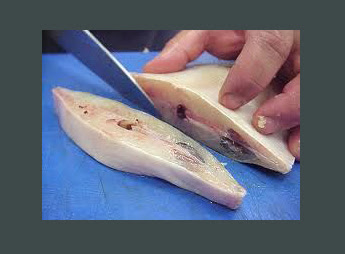 Basic Fish Cutting Methods