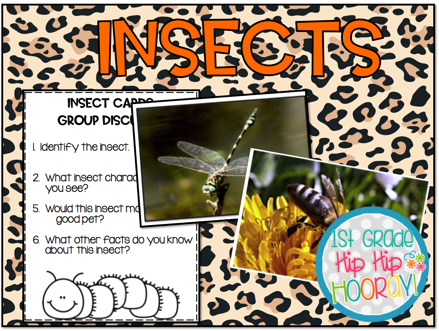 1st Grade Hip Hip Hooray!: Let's Explore Insects