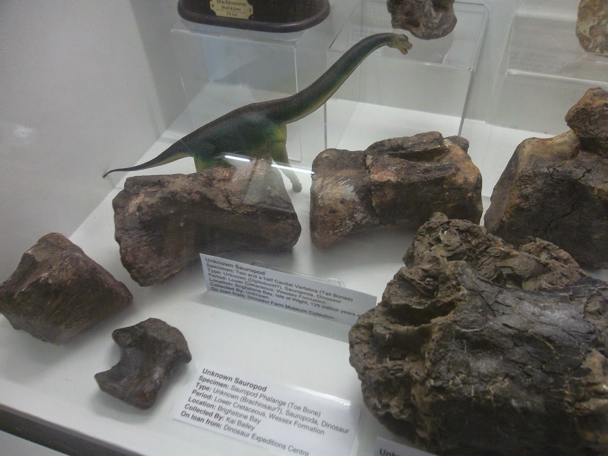 Love in the Time of Chasmosaurs: Down on the (former) Dinosaur Farm