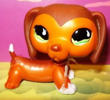 I Love Sage and Savannah together on LPS: POPULAR!