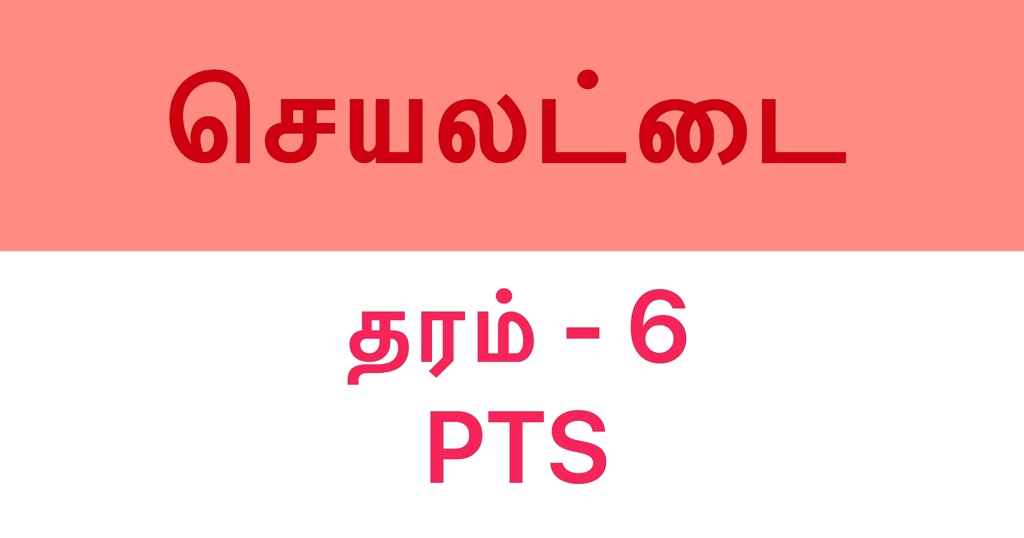 PTS Assignment Exam Paper, Grade 6 - Set 1