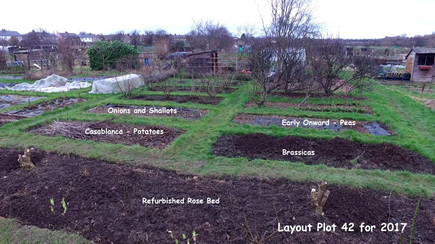 A Gardener's Weather Diary: Planning For Early Planting
