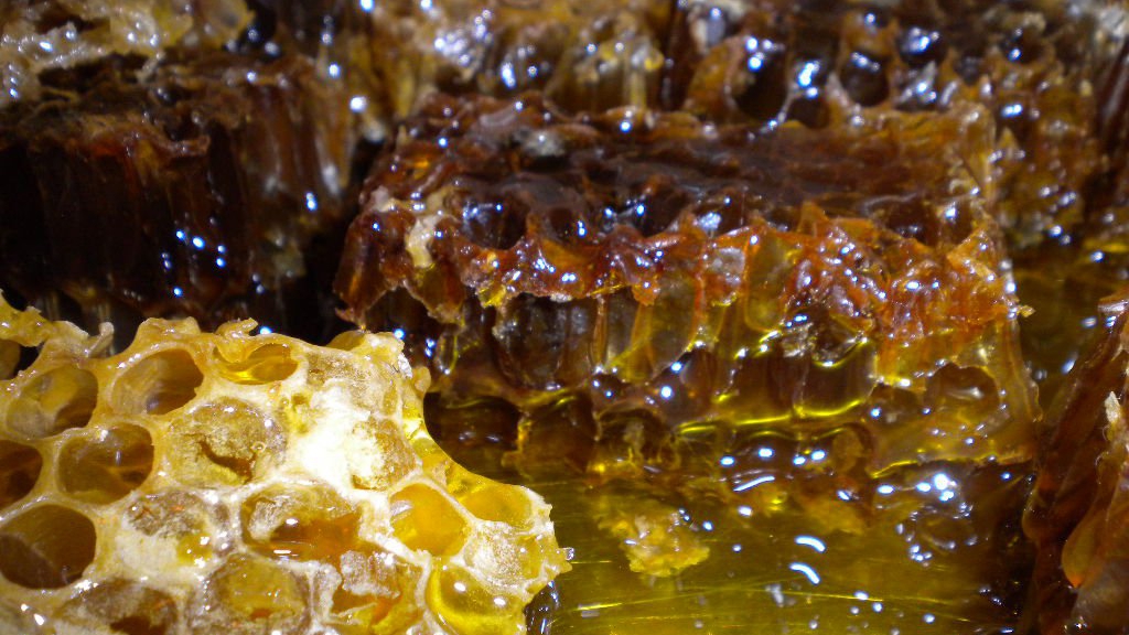 Medicina Naturista: 2019