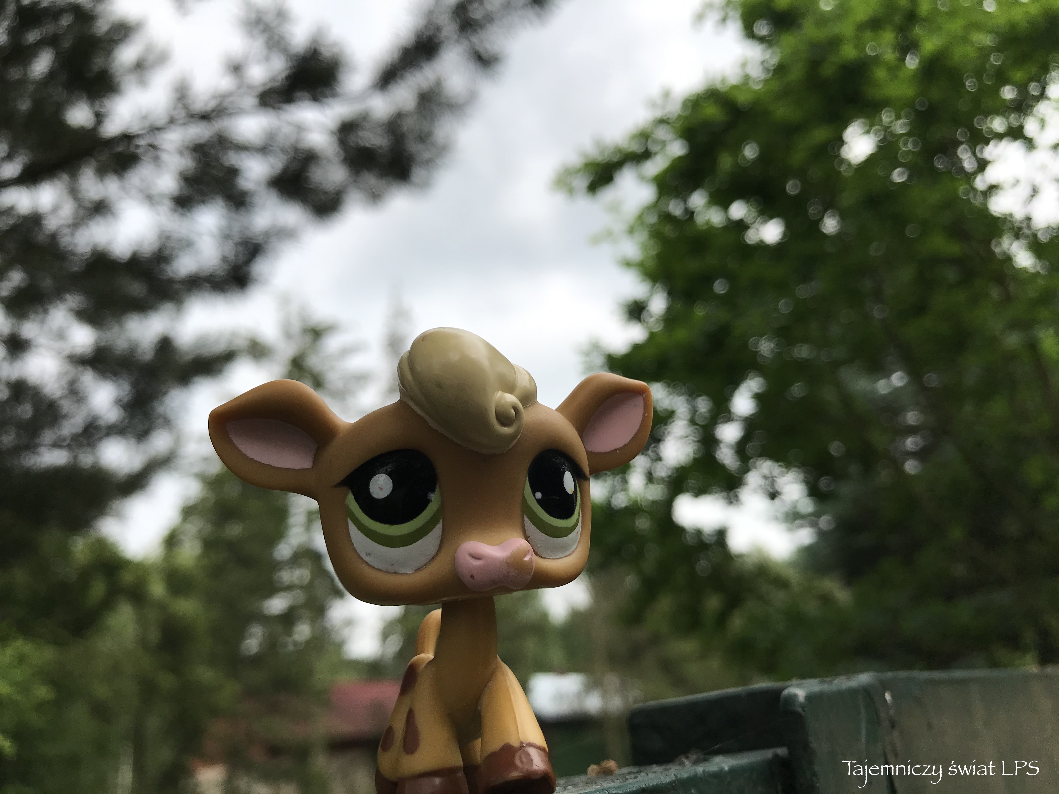 Tajemniczy świat LPS: 63. After a year