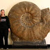 The Largest Ammonite Ever Found