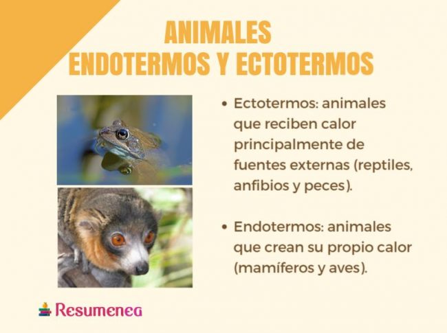 ECOLOGÍA : ECOLOGÍA