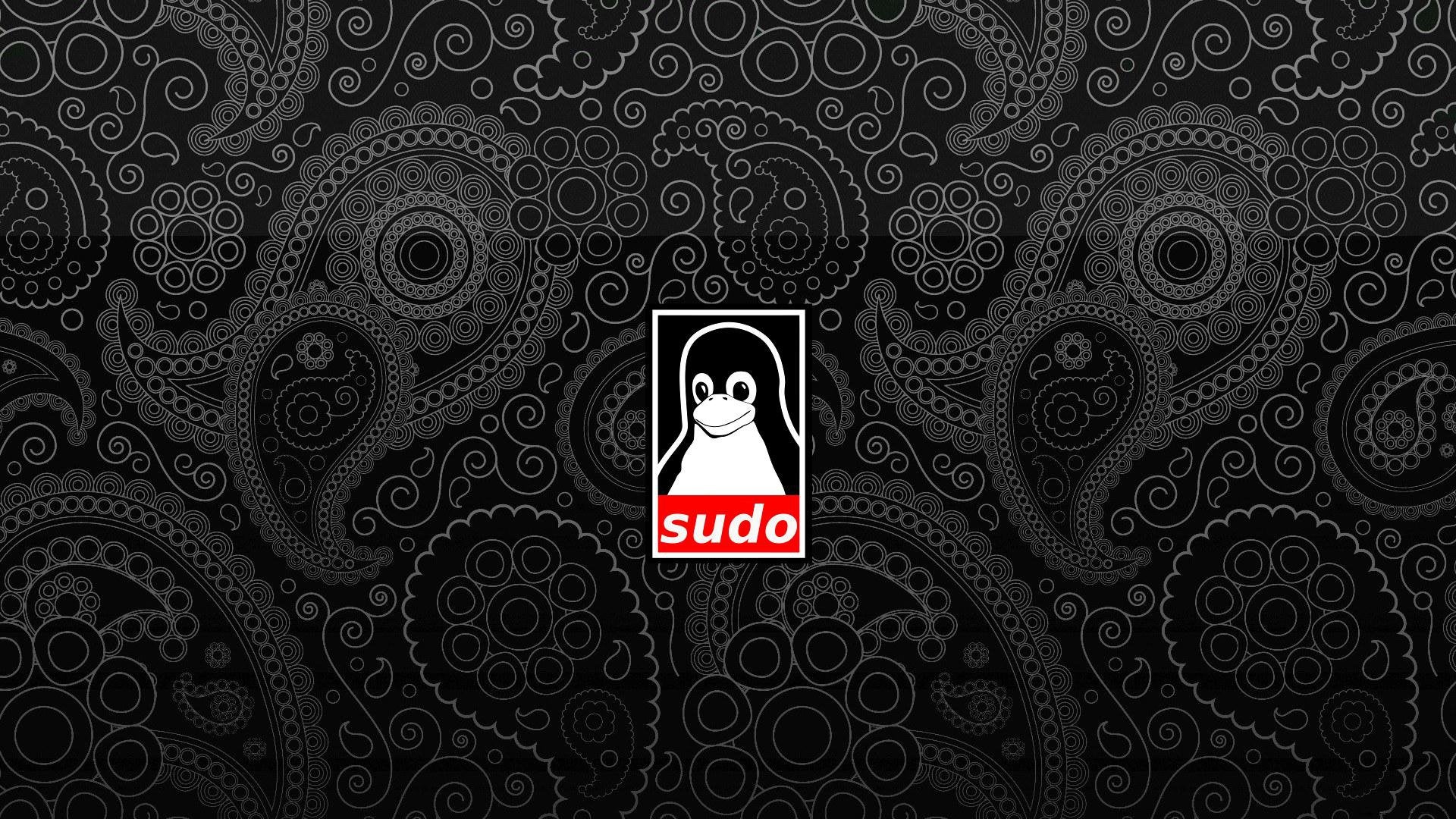 Cve 2021 3156 Sudoedit Heap Based Buffer Overflow Checker