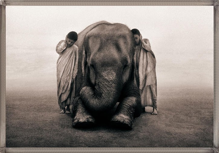 Ostáriz Art Gallery: Gregory Colbert