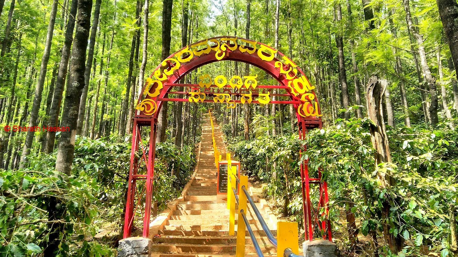 Sharath Hassan A Travelling Photographer: Deviramma Betta, Chikmagalur