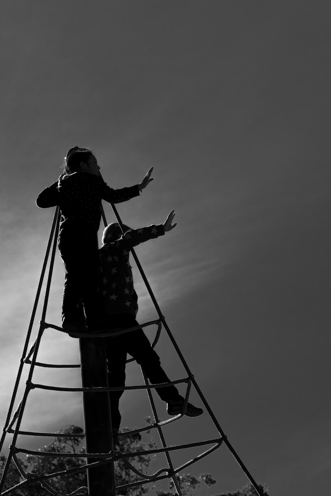 PSYCHOSCAPES: Waving Goodbye from Democracy's Sinking Ship