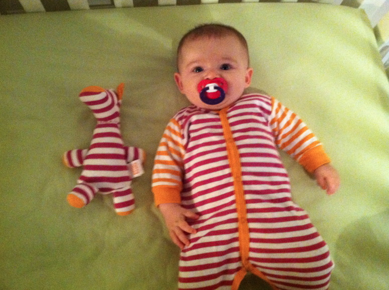 baby zzz - The Shu Box