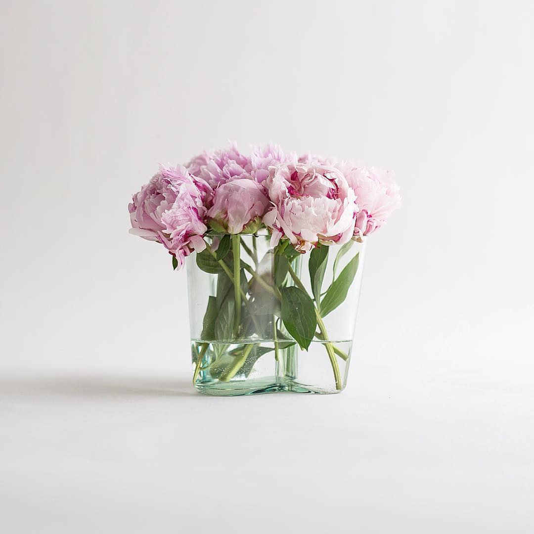 Magiczny świat roślin : Poznaj najsłynniejszy wazon na świecie