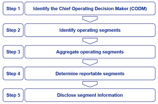 IFRS 08 / SLFRS 08 Operating Segments