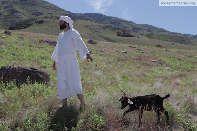 Redeemer of Israel: Understanding the Day of Atonement or Yom Kippur