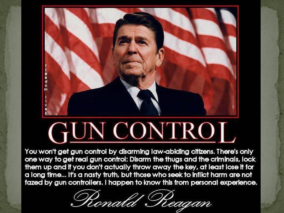 The Noodleman Group: GUNS 5014