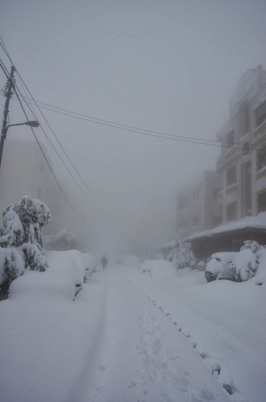 It's an expat life for us.: An epic dumping of snow in Amman.