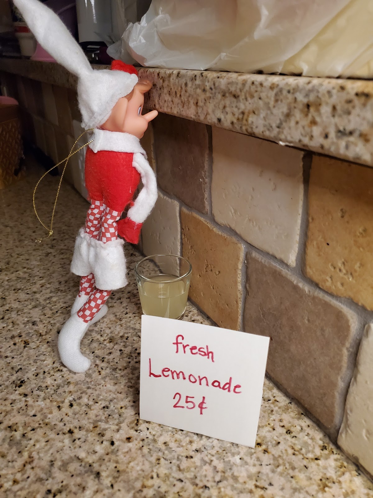 Must Run in the Family: 44 Elfies For Teenagers and Adults