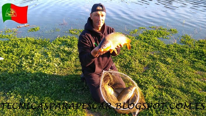 TÉCNICAS PARA PESCAR: EL FEEDER