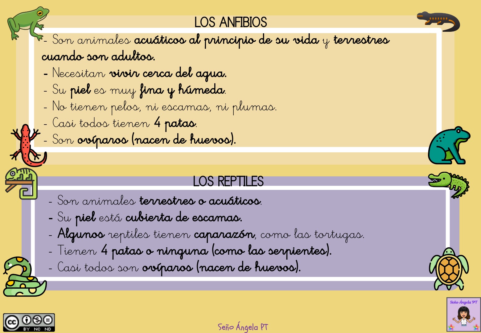 Seño Ángela PT: TEMA INTERACTIVO/ADAPTADO "ASÍ SON LOS ANIMALES Y LAS ...