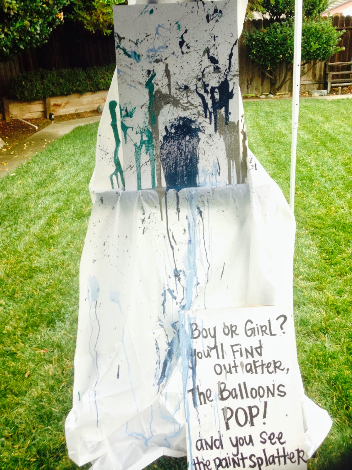 10 Greatest paint splatter gender reveal You Can Download It Free ...