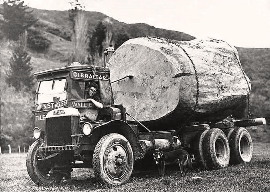 transpress nz: old Leyland logging truck