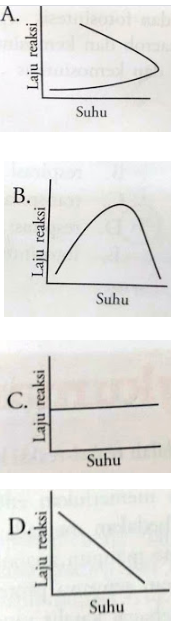 Grafik hubungan yang benar antara laju reaksi suatu enzim dengan suhu ...