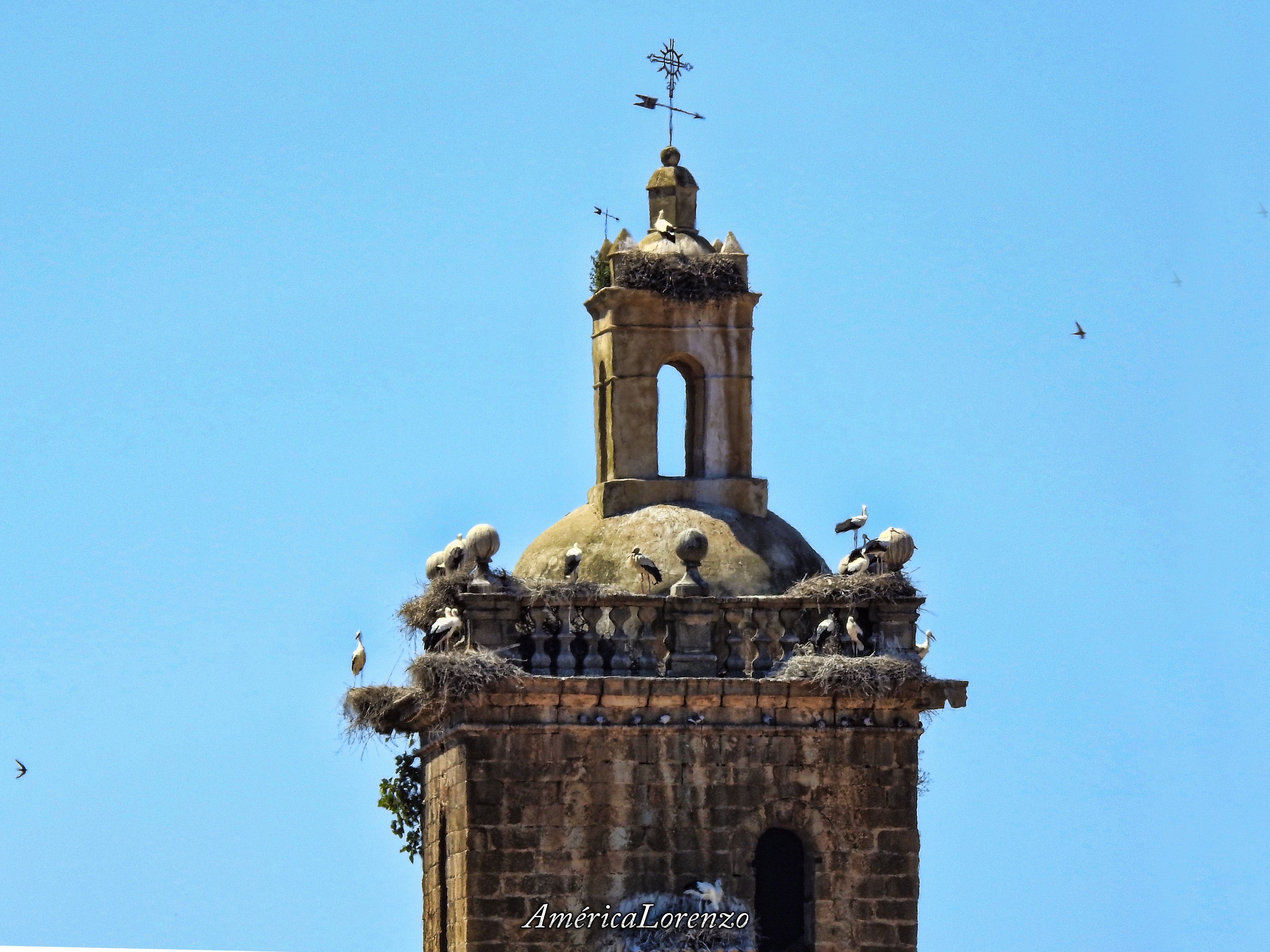 Guijo de Coria (Guiju de Coria en extremeño) - Extremadura