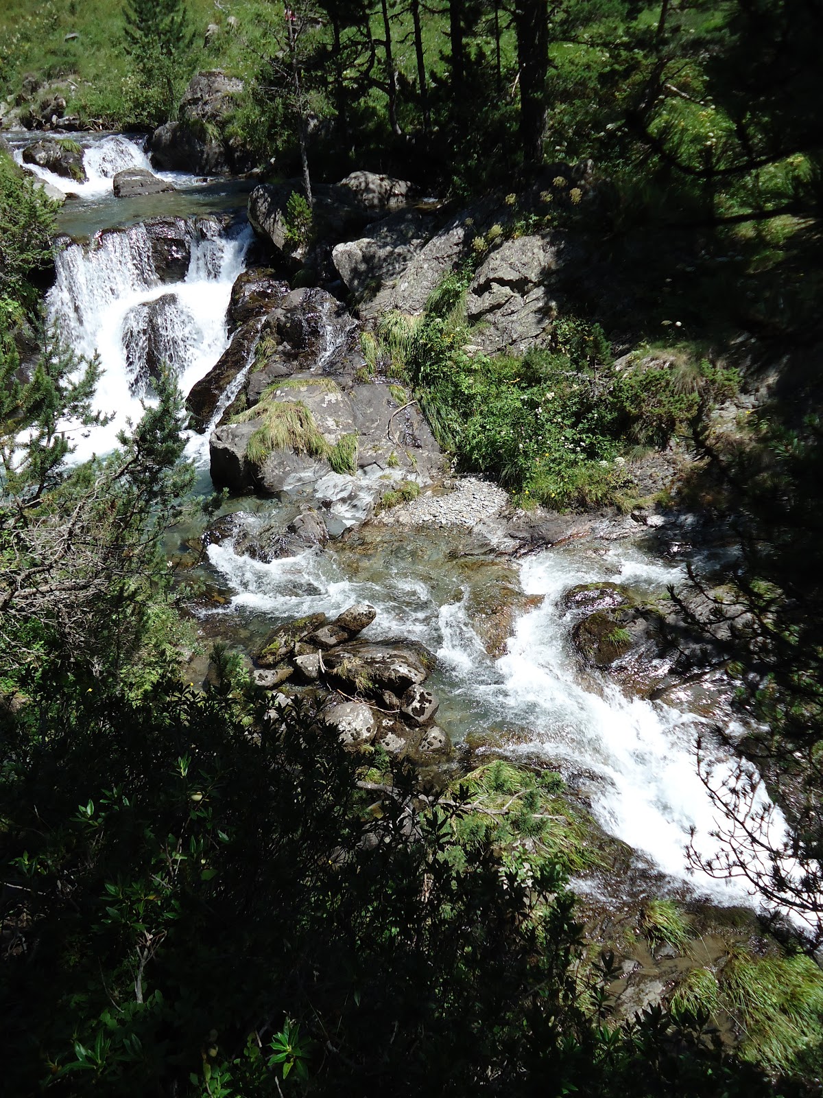 Le Blog "PYRENEES et NATURE" de Benjamin JOFFRE: 31/7/2011: Vallée du ...