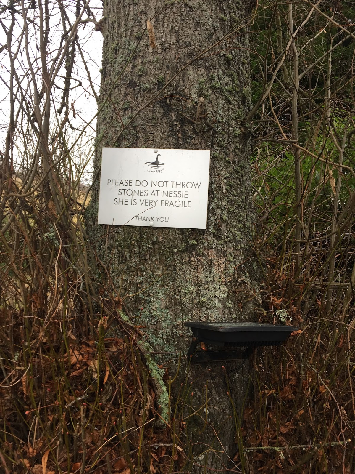 4143: Loch Nessin hirviö