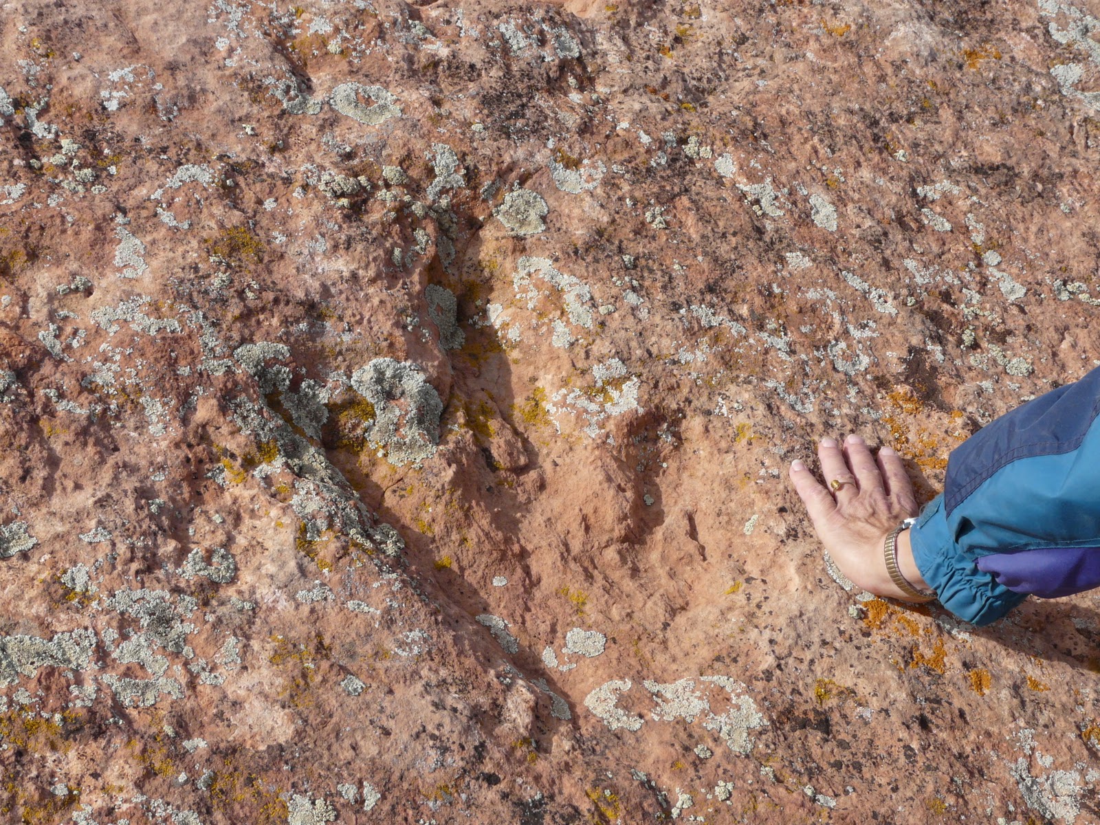 Hiking the Great American Southwest: Moki Steps, Petroglyphs ...