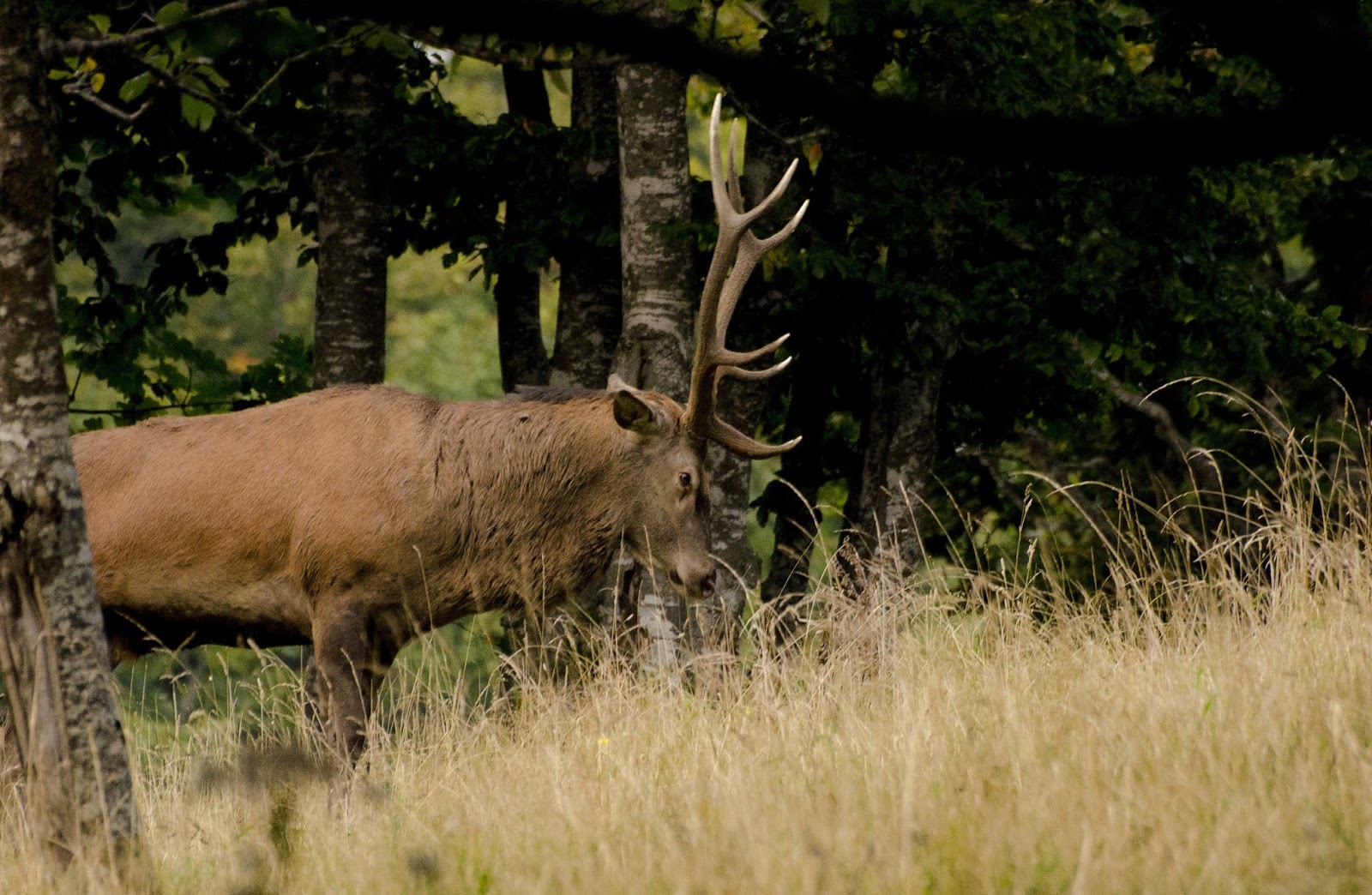 DROMESCAPE - Randonnées en Drôme et Escapades photographiques: Les ...