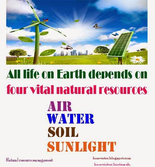 bonvictor eco-conscious blog: Natural resource management
