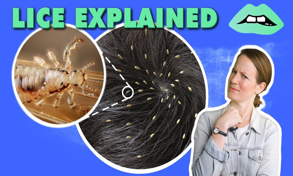 Medical Top 3 Gross Things You Can Find On Your Body.