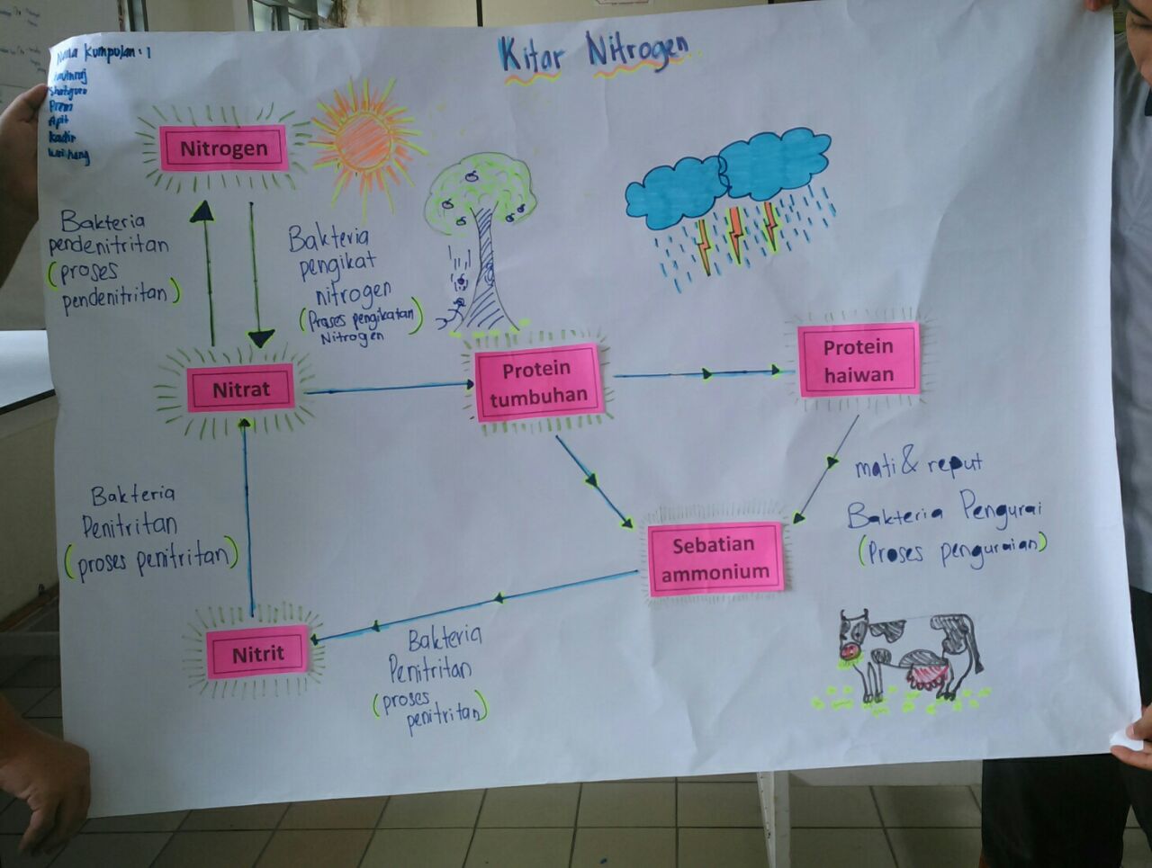 All About Science Cikgu Diana: Kerja Berkumpulan : Membina Gambar Rajah ...