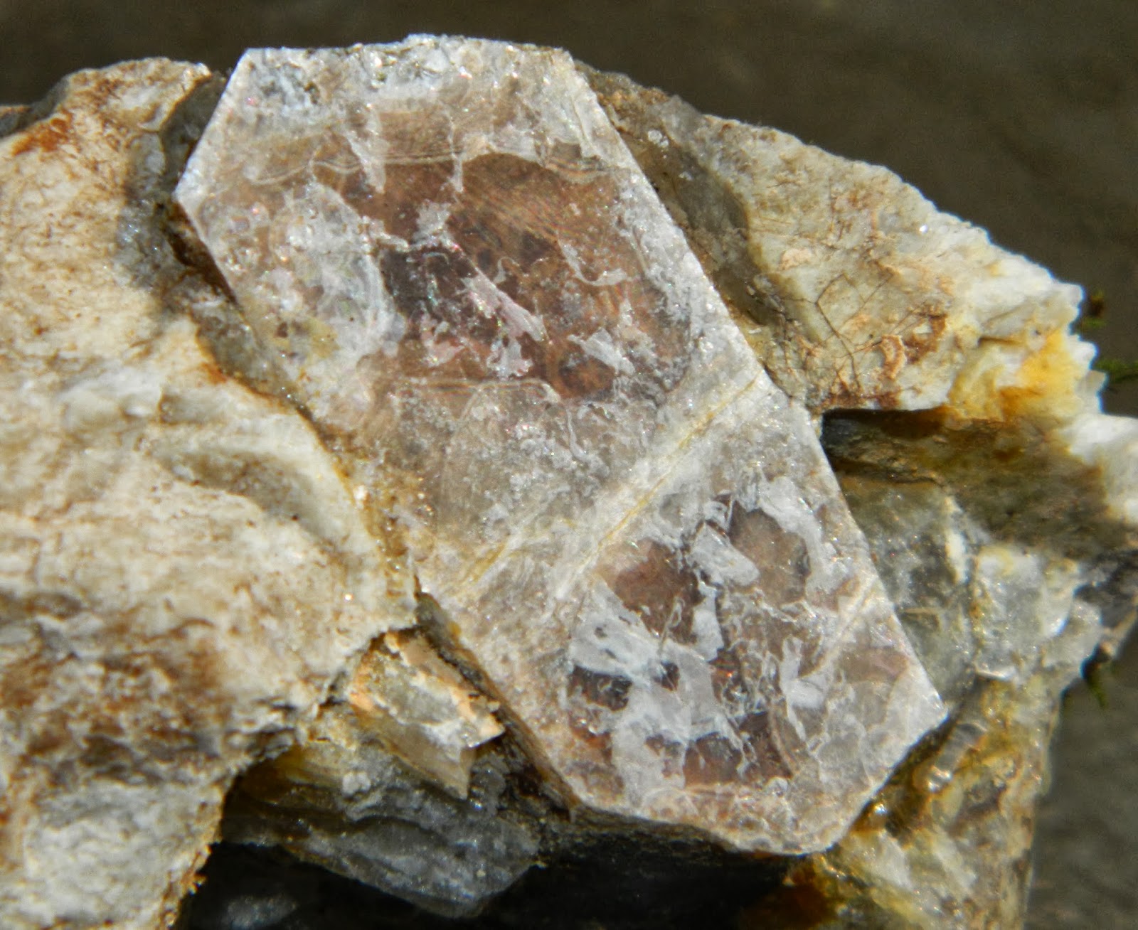 Lise's Log Cabin Life: A Mica Mine and A Gravestone