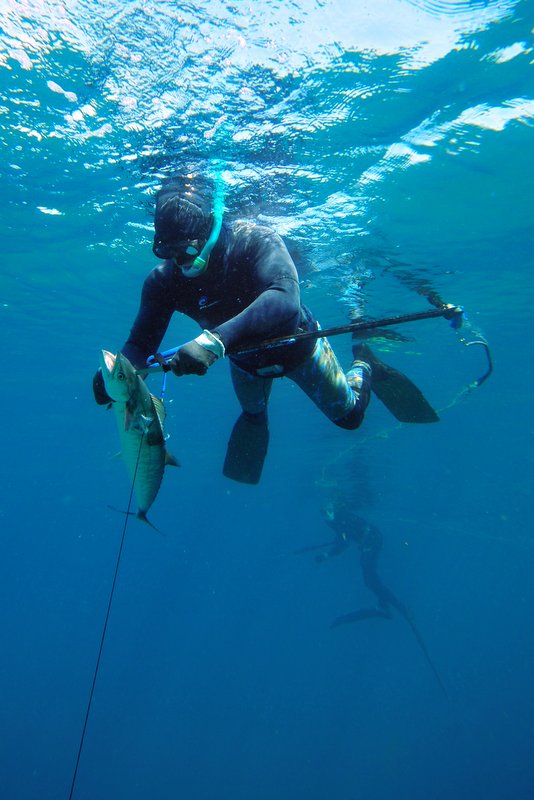 Coatesman's Spearfishing & Waterman's Blog: Spearfishing North to South