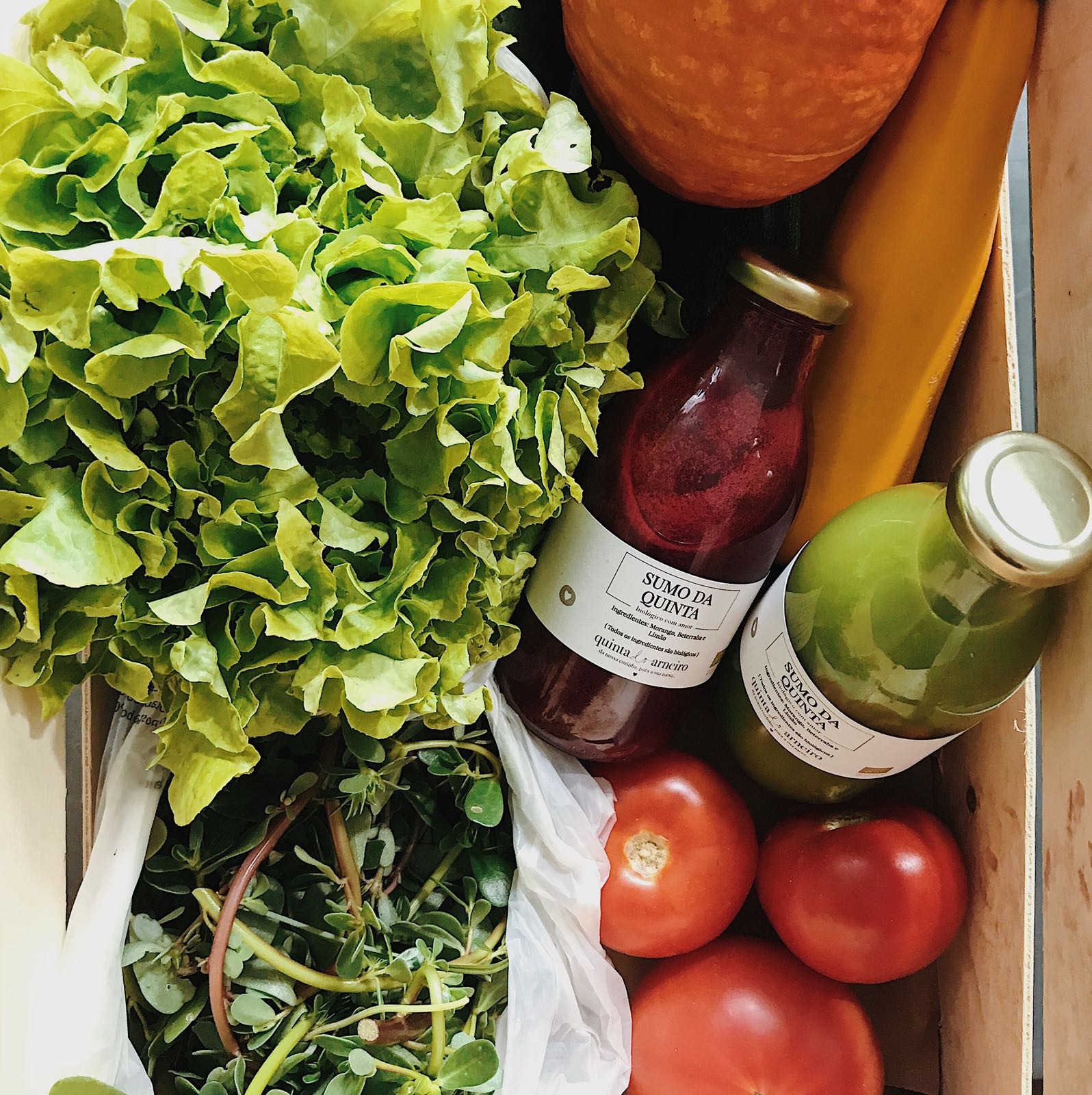 Beba Sumo! Muito Sumo! / A vida de uma alface