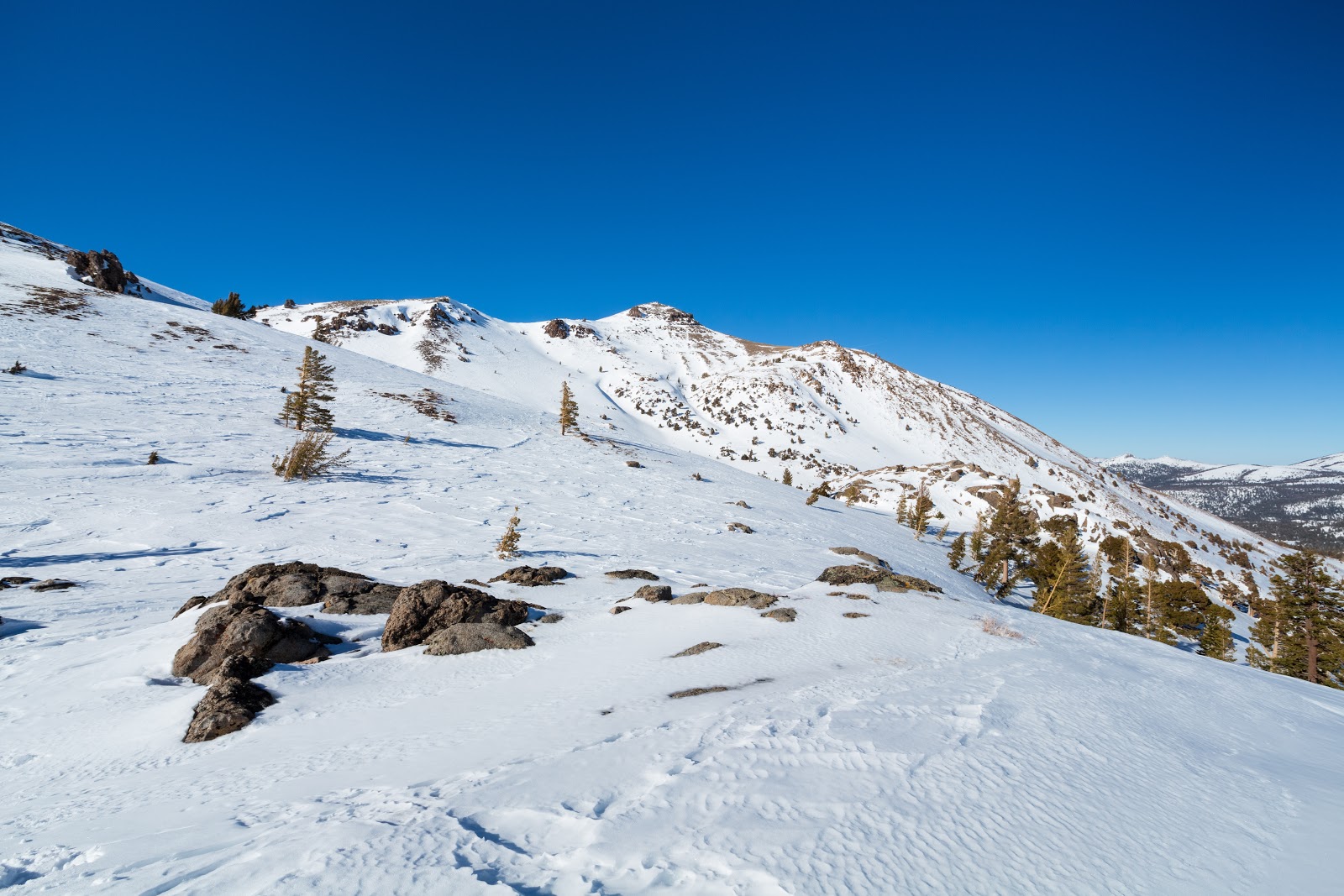 Naturetastic Blog: SR-88 & Carson Pass (Part 2) - Eldorado National Forest