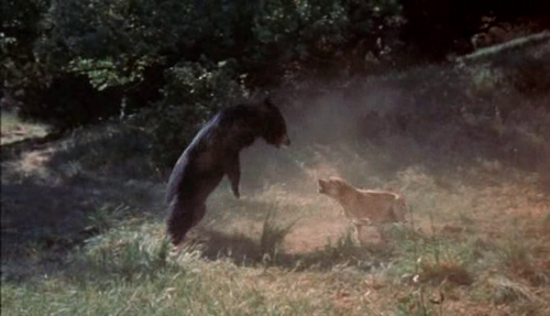 Old Yeller Death Scene