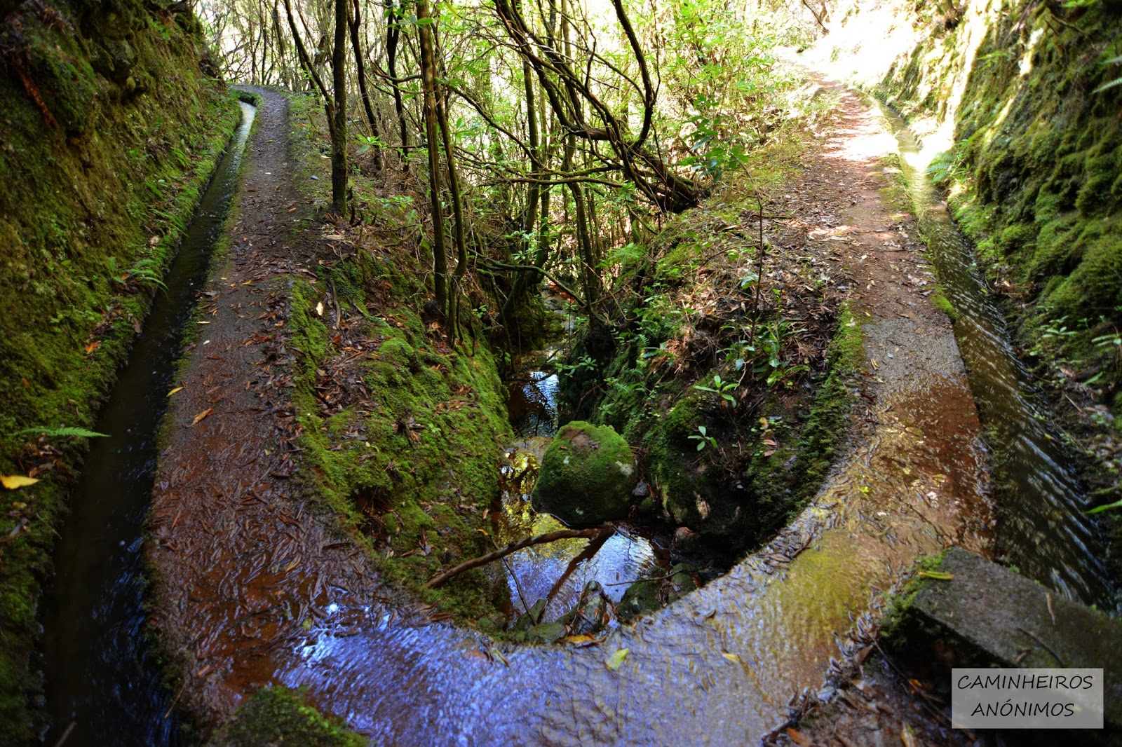 Caminheiros Anónimos Levadas da Madeira : Levada Grande (Achadas da Cruz)