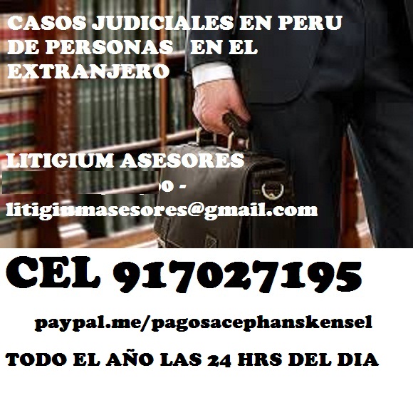 SAN JUAN DE MIRAFLORES: PENSION DE ALIMENTOS LIMA SUR