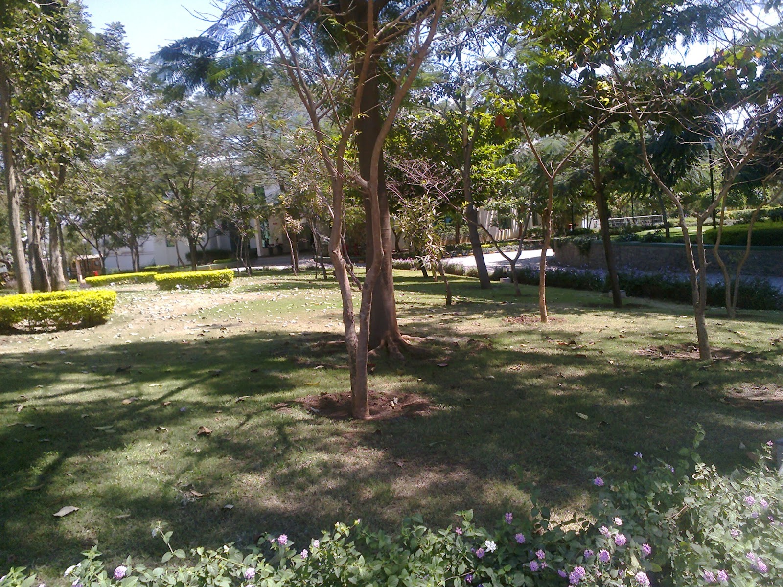 IT Candidate Experience: Wipro Campus Pune PDC2 | Hinjewadi | Phase 2 ...