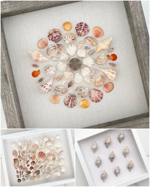 28 Shell Art Ideas | Framed Seashell Wall Art